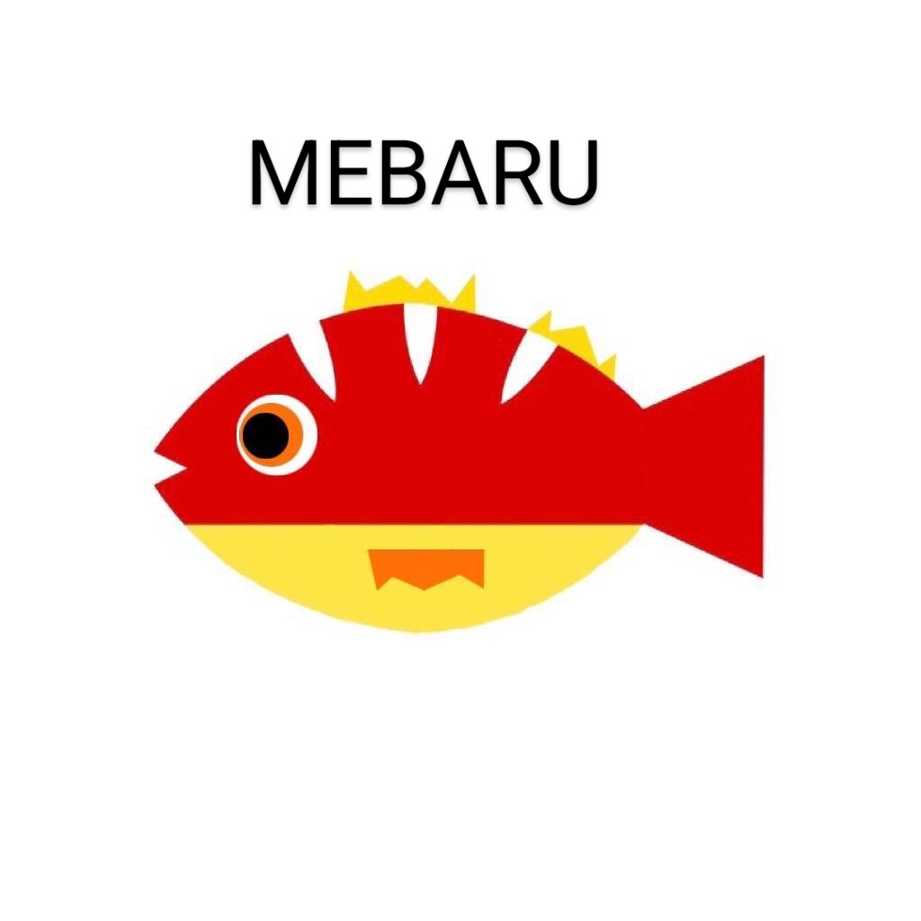 MEBARU（メバル） | MOLKKY HUB